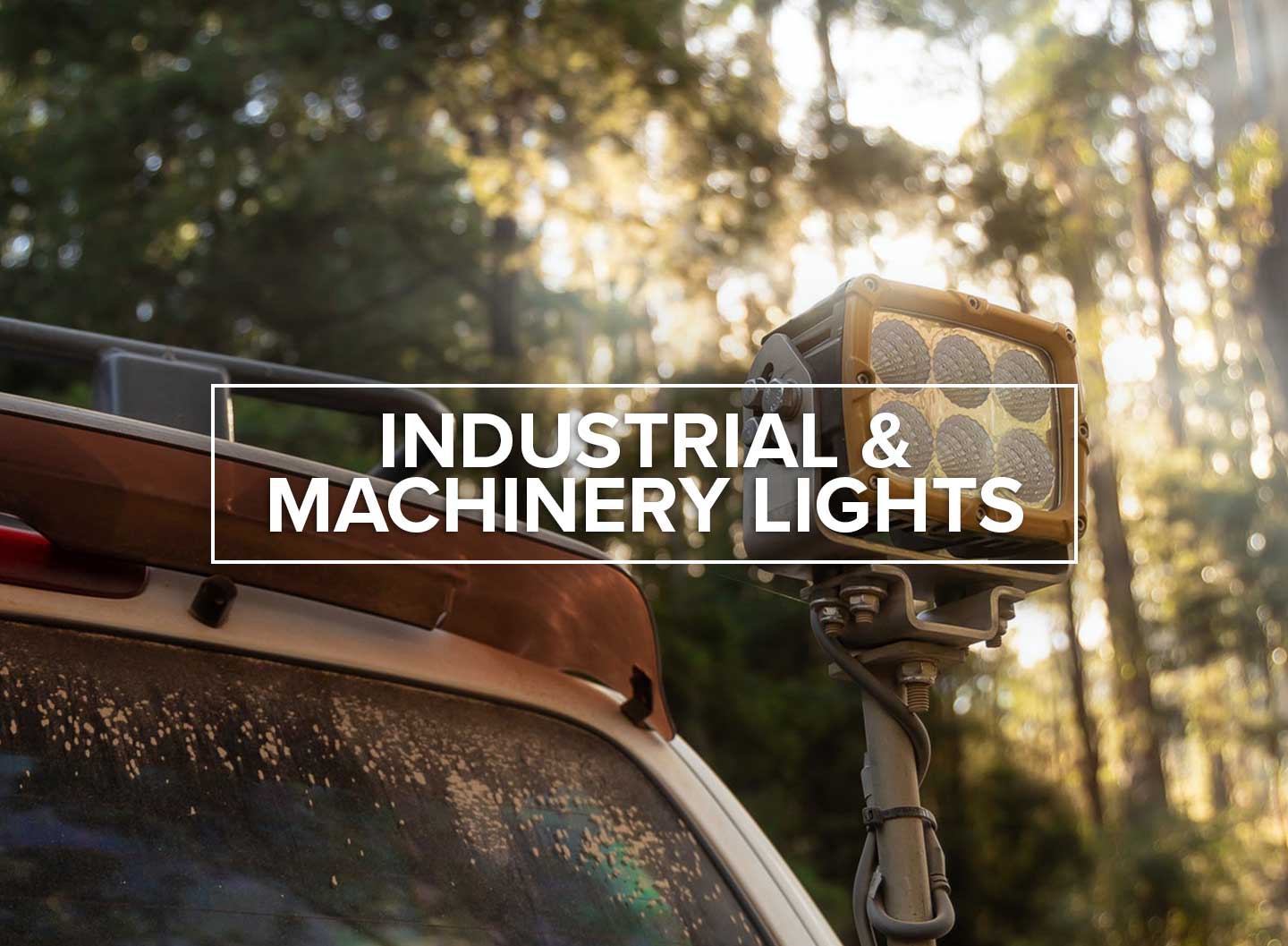 Industrial & Machinery Lights